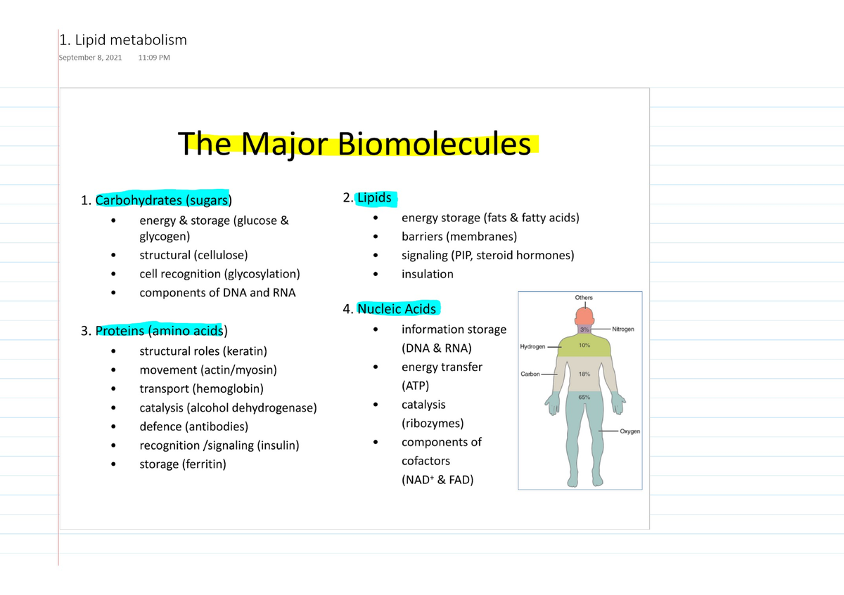 1. Lipid Metabolism - Lecture notes taken during class - BIOC 302 - Studocu