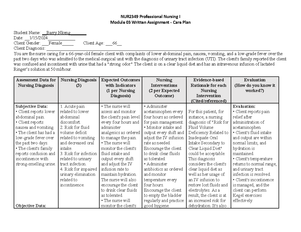 Module 3 - the answer to care plan - NUR2349 Professional Nursing I ...