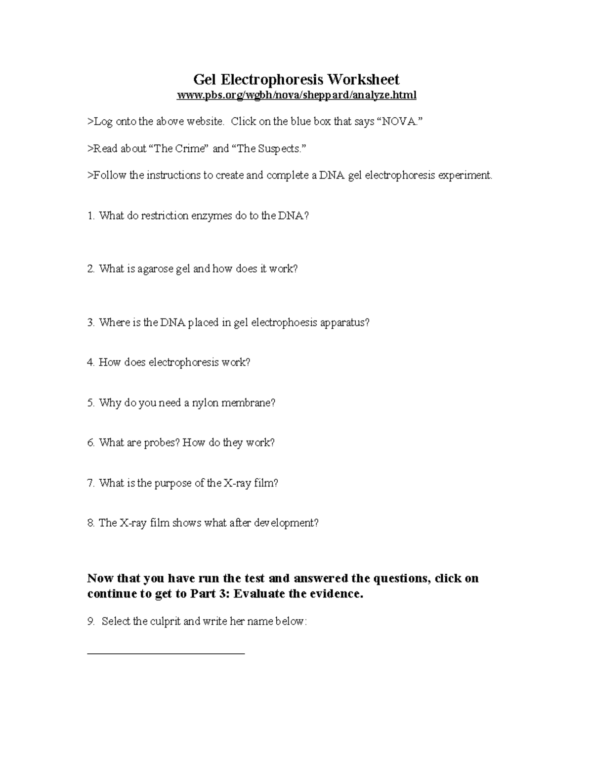 Biogelinet - bio notes - Gel Electrophoresis Worksheet pbs/wgbh/nova ...