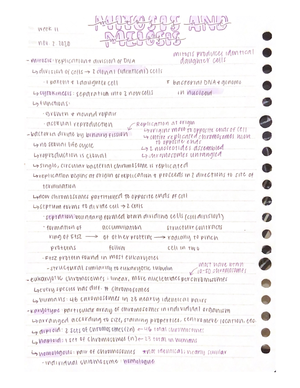 notes on Gene expression - Overview on gene expression and how it ...