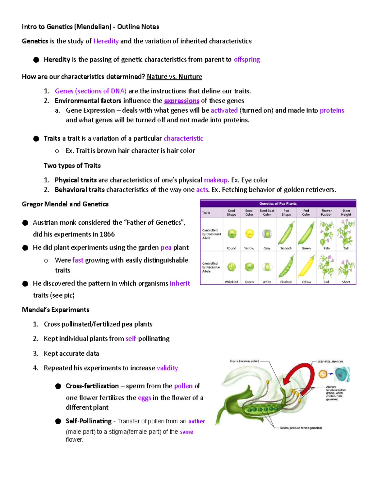 Amberly He - Genetics Basic Patterns of Inheritance - Outline Notes ...