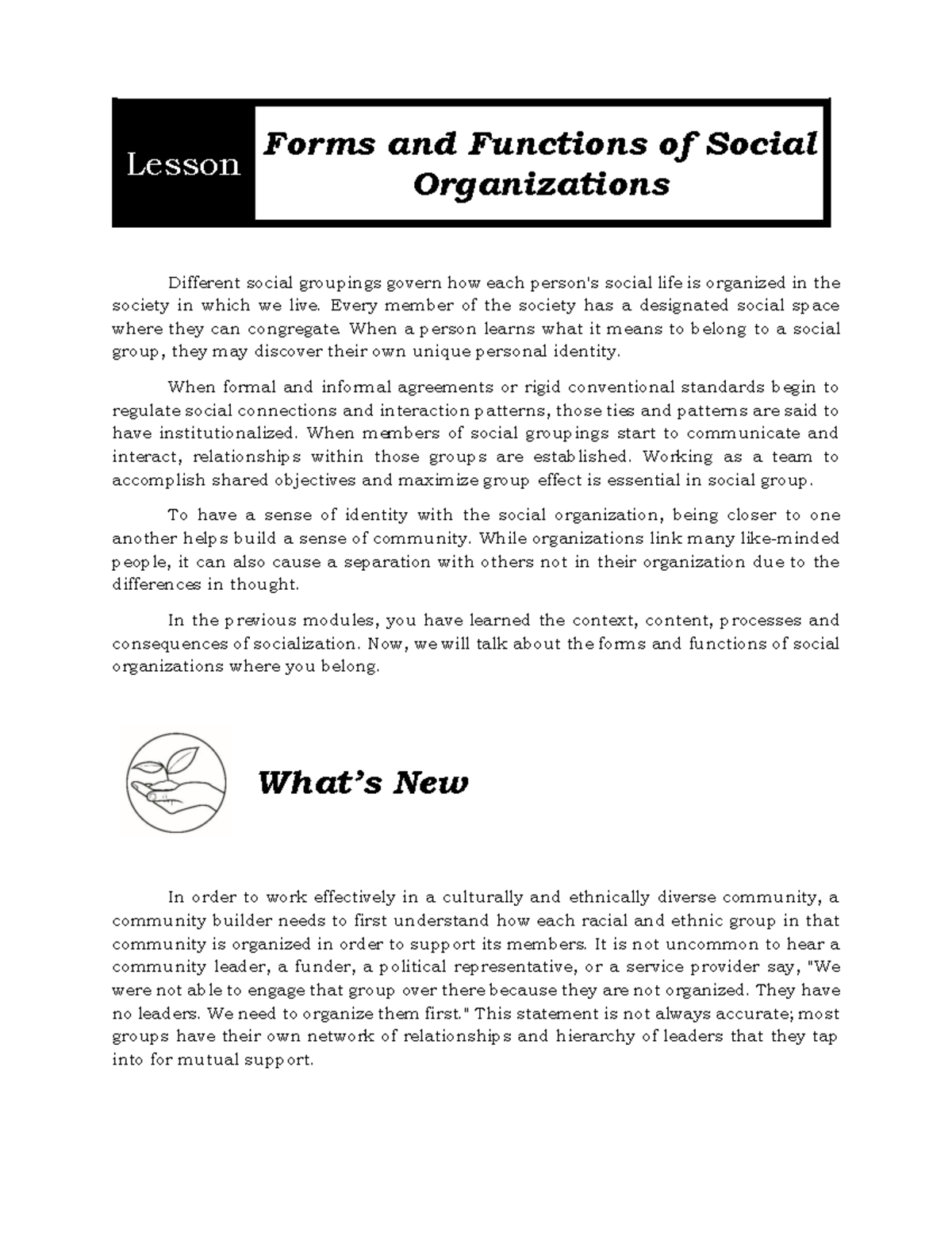 Forms and Functions of Social Organizations - Lesson Forms and ...