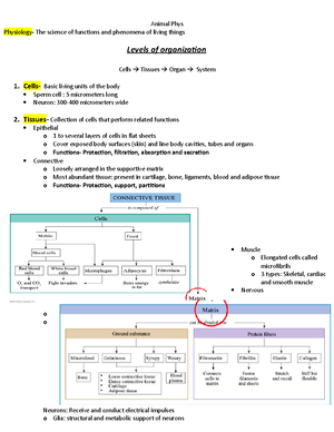 Animal Physiology test 1 - Animal Physiology 1) Definition of ...
