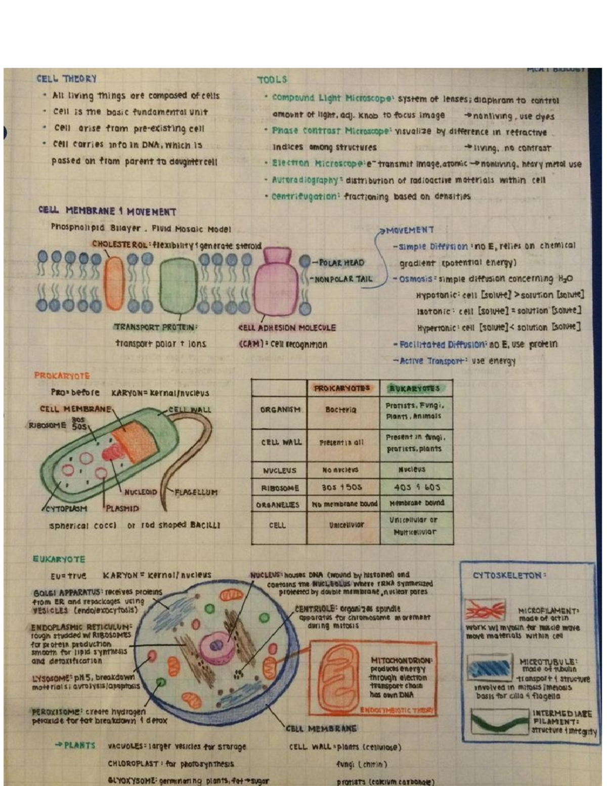 Biology notes on Cell theory - BIOL-L 211 - Studocu