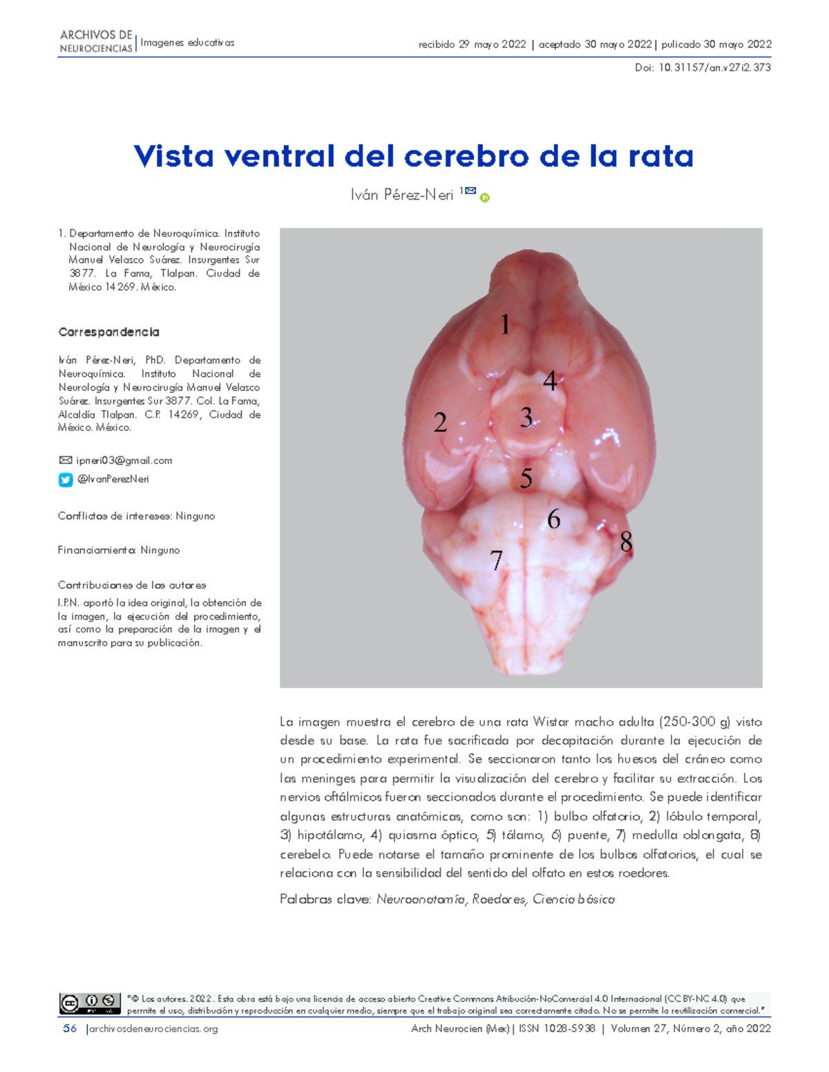 Cerebro+de+una+rata+Wistar+macho+adulta - recibido 29 mayo 2022 ...