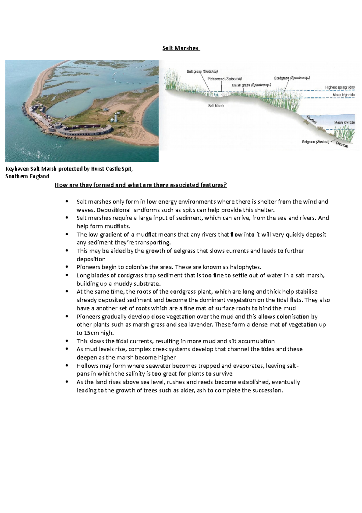 Salt Marshes - Lecture notes - Salt Marshes How are they formed and ...