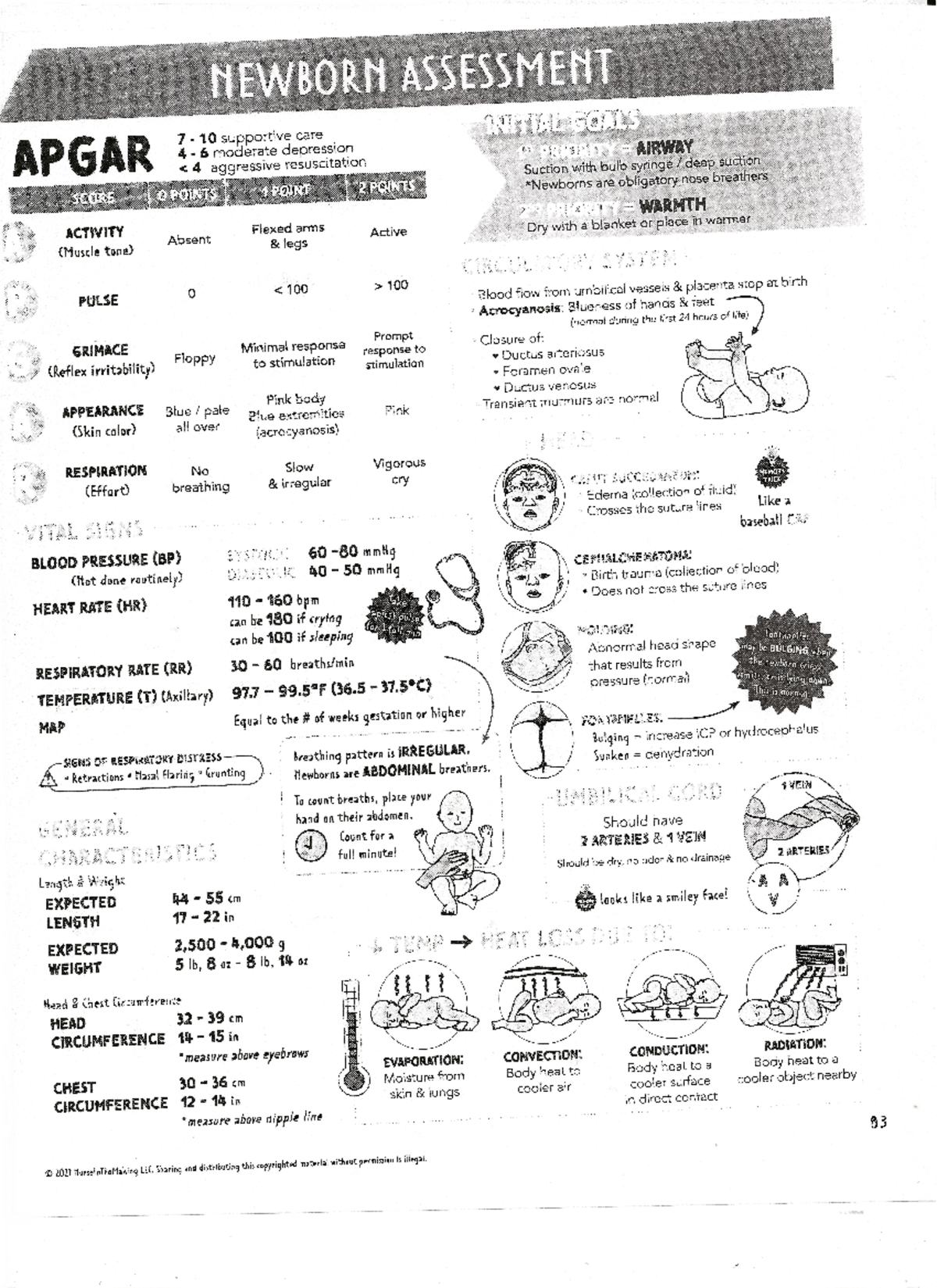 Newborn Assessment - NEWBORN ASSESSMENT APGAR 7 10 supportive care ...