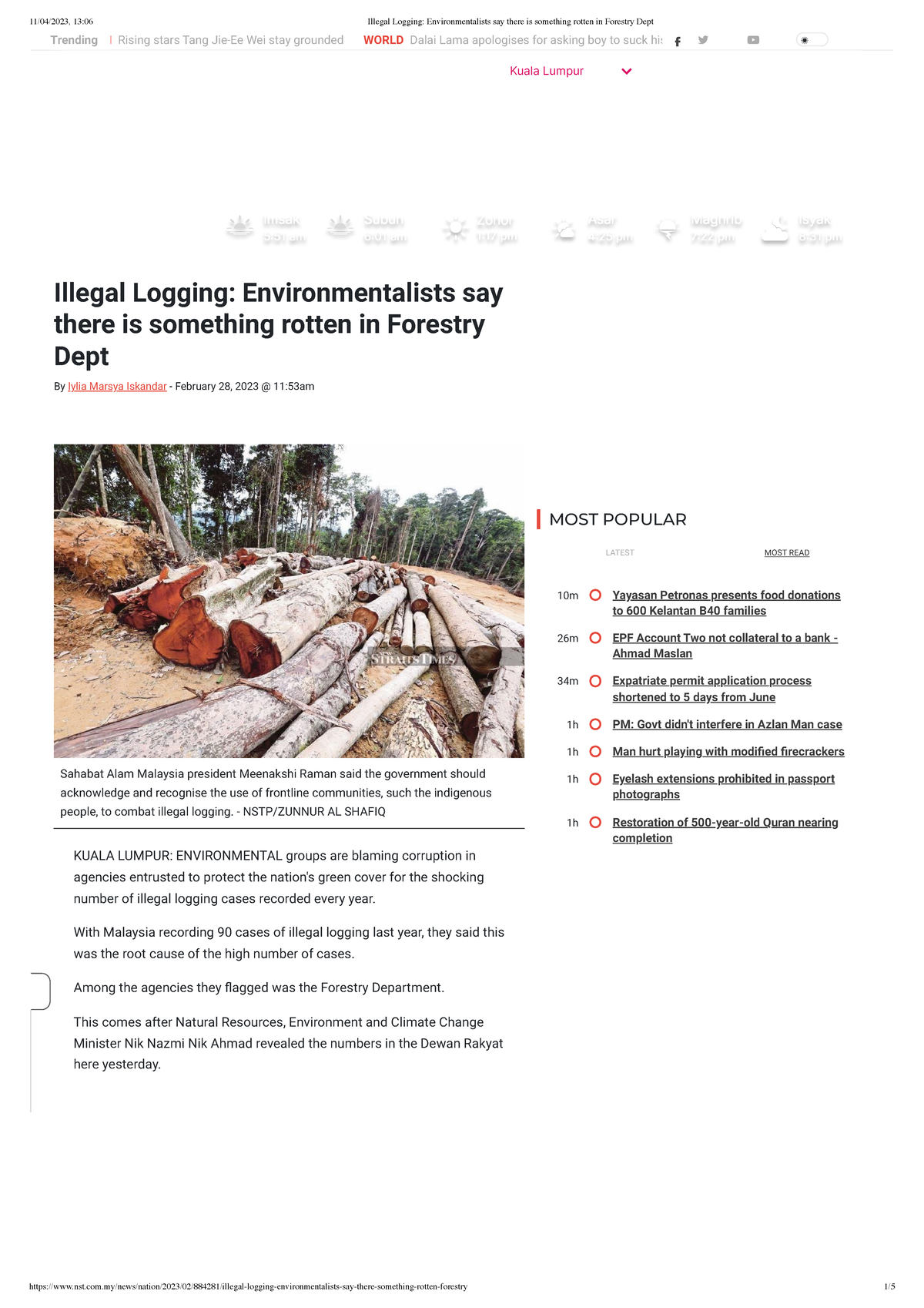 Illegal Logging Environmentalists say there is something rotten in ...