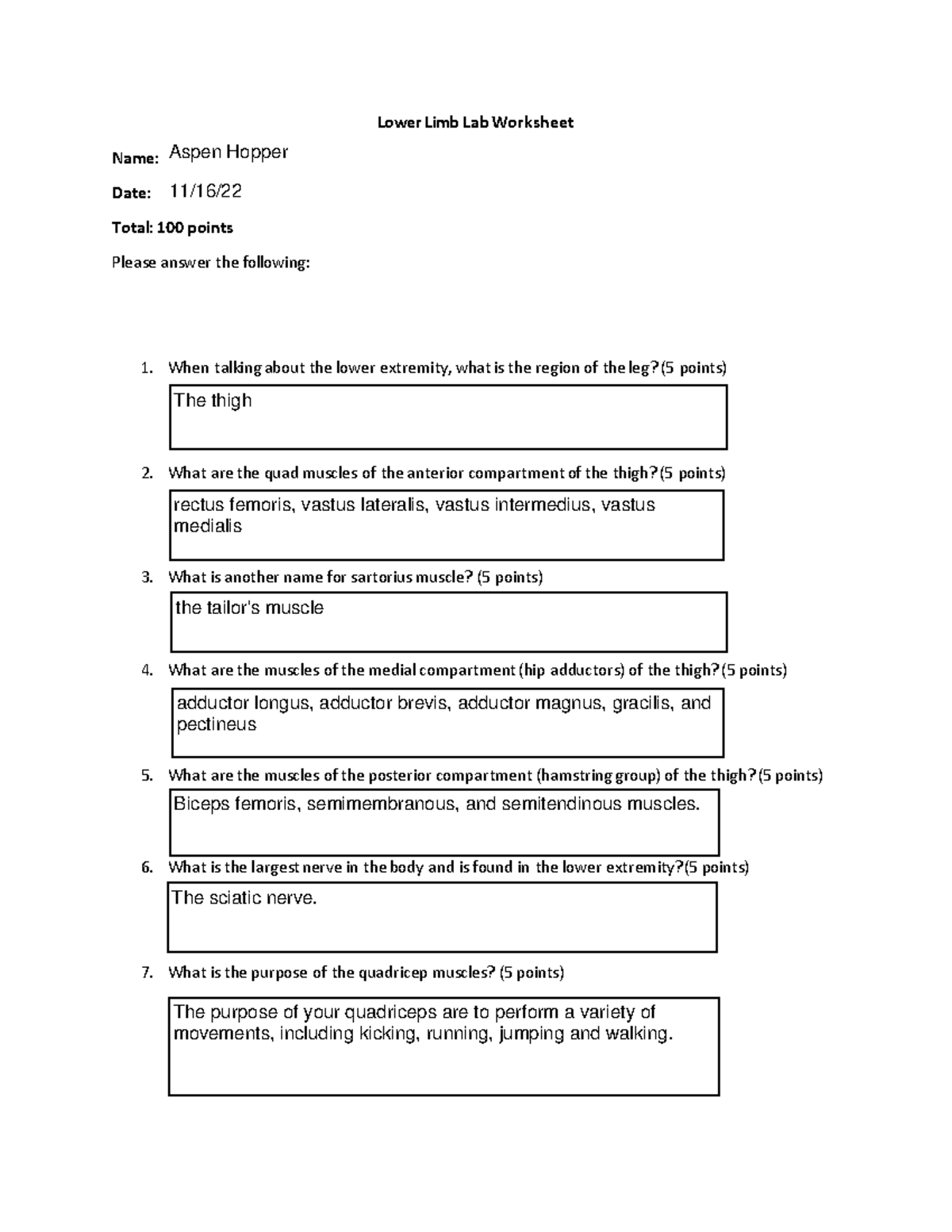 Lower+Limb+Lab+Worksheet+-+ Fillable - Name: Lower Limb Lab Worksheet ...