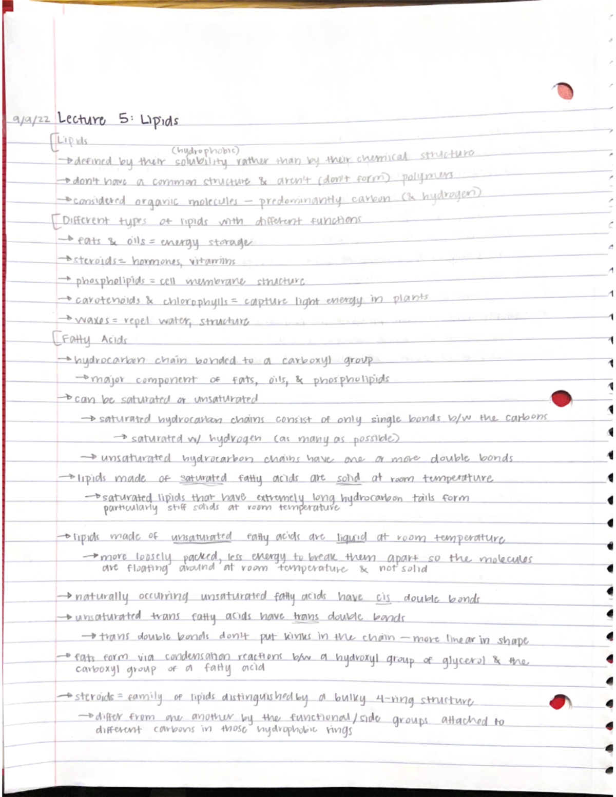 Lecture 5- lipids - Pitt BIOSC 0150 Laura Zapanta - ajayz2 Lechure 5 ...