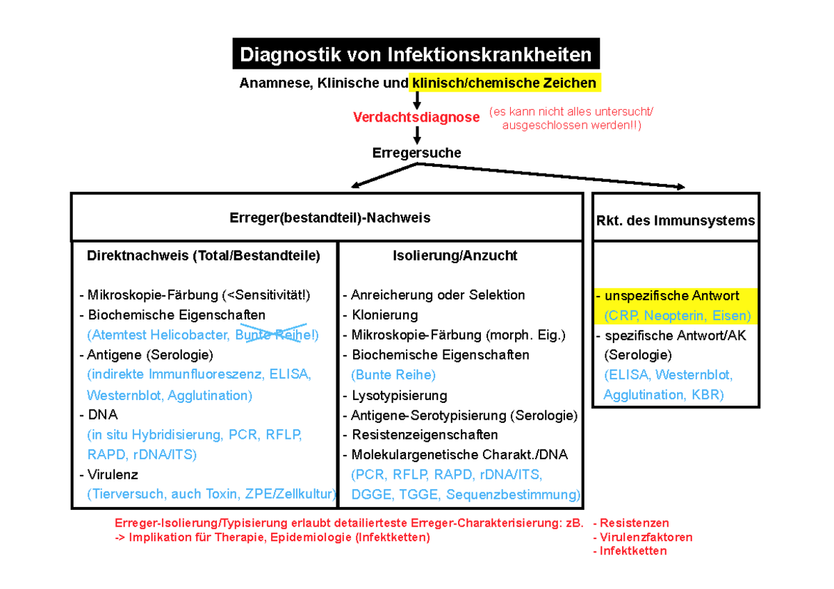 Diagnostik - Warning: Error during font loading: XMLHttpRequest is not defined Anamnese ...