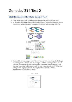 Mutations Population genetics - Mutations Ultimate source for genetic ...