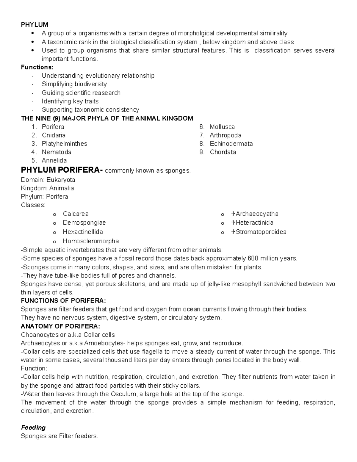 Phylum of the Animal Kingdom - PHYLUM A group of a organisms with a ...