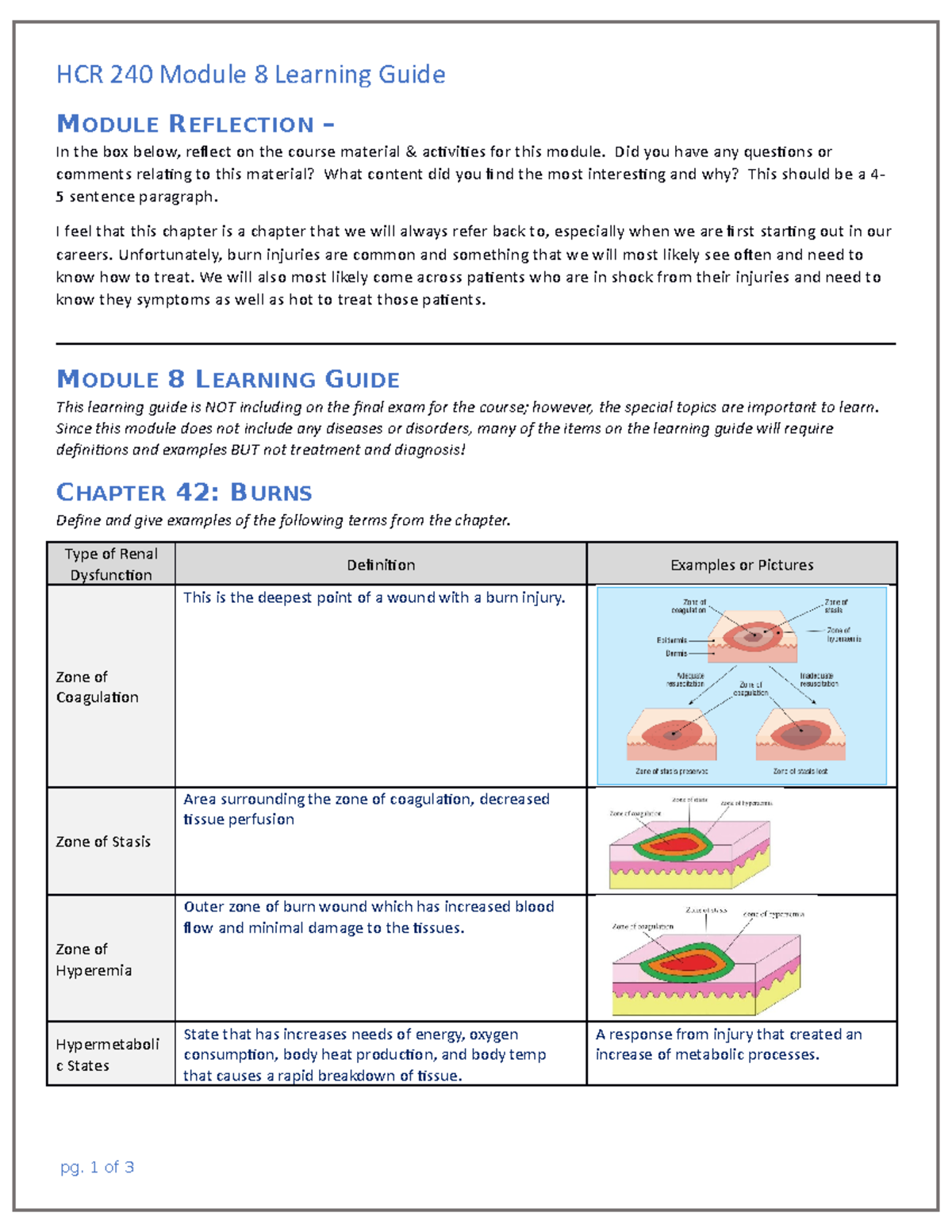 HCR 240 Module 8 Learning Guide - Studocu