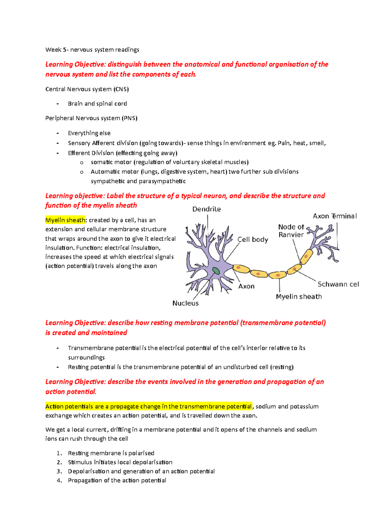 Brain notes - Week 5- nervous system readings Learning Objective ...