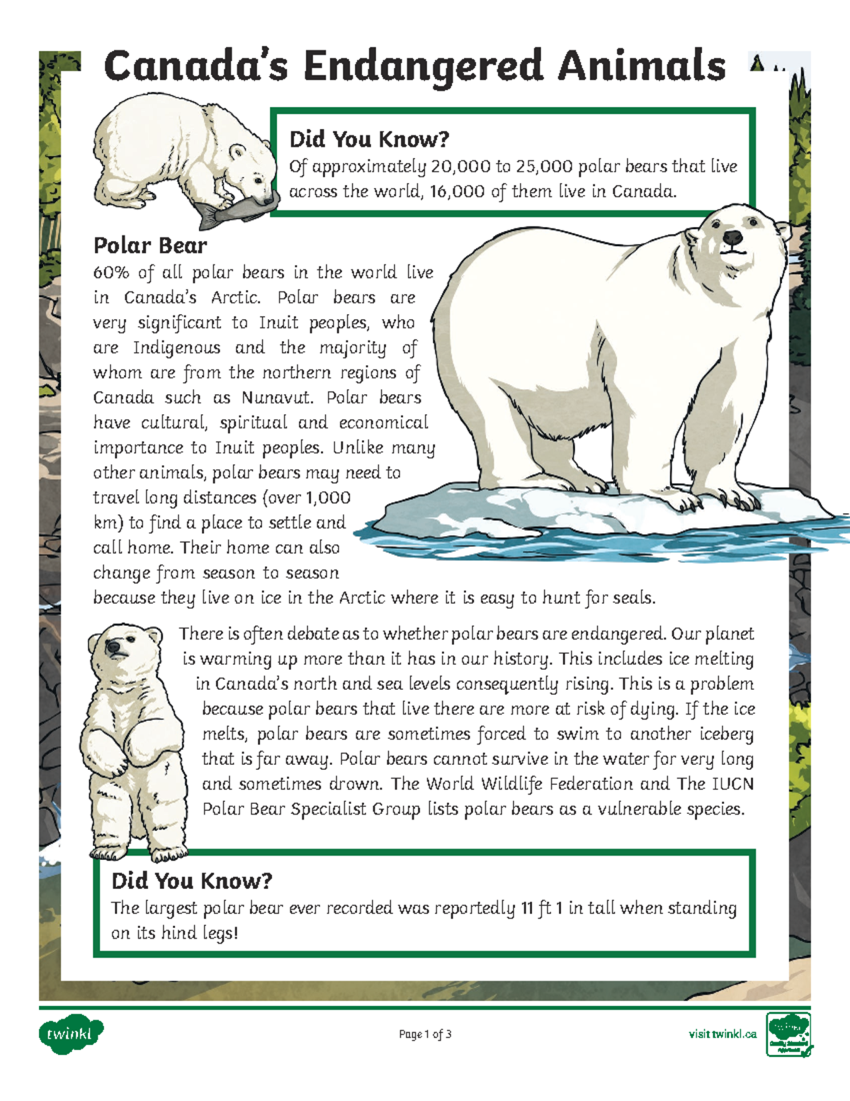 Canadas-endangered-animals-fact-file ver 9 - visit twinkl Canada’s ...