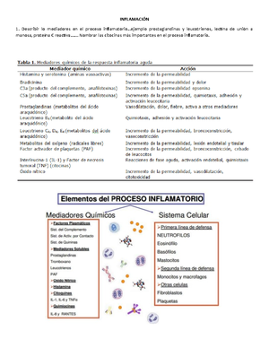 3. Linaje Mieloide - GENERACIÓN DE LAS CÉLULAS SANGUÍNEAS LINAJE ...