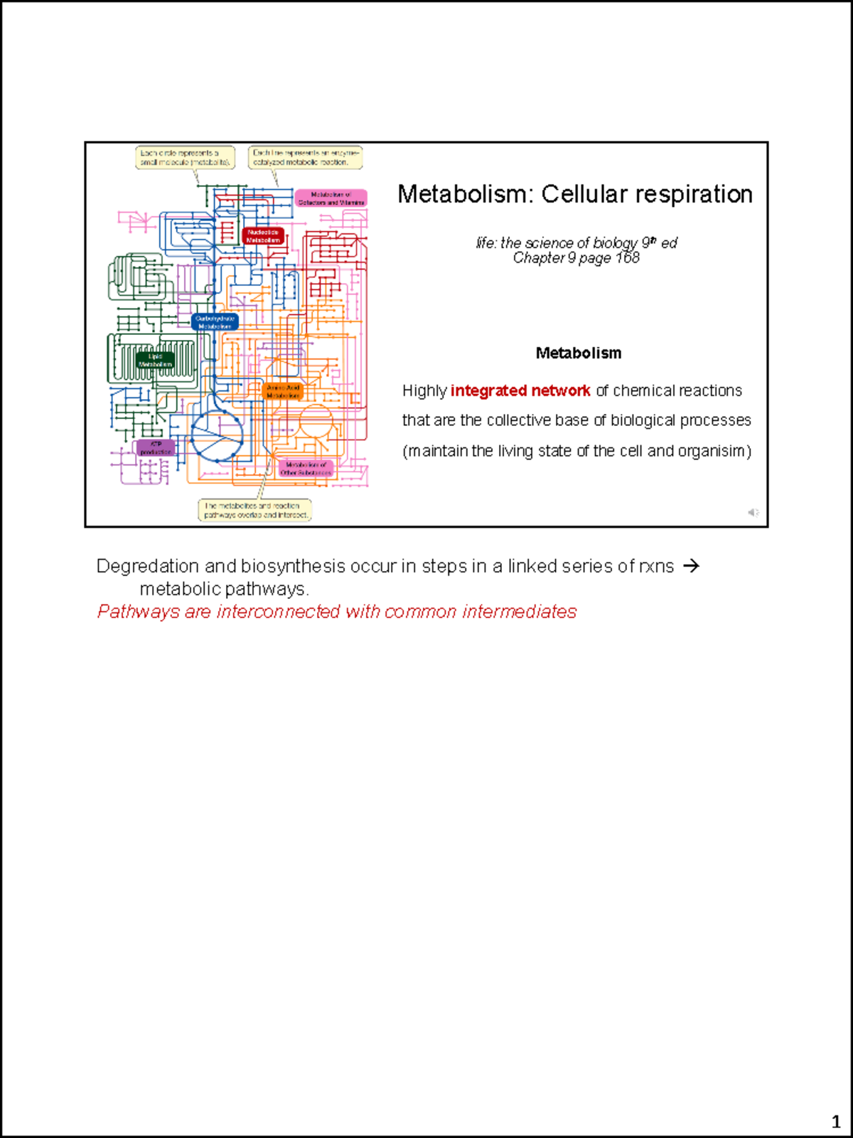 BIO211 -Lec 16 - Cellular respiration - Metabolism: Cellular ...