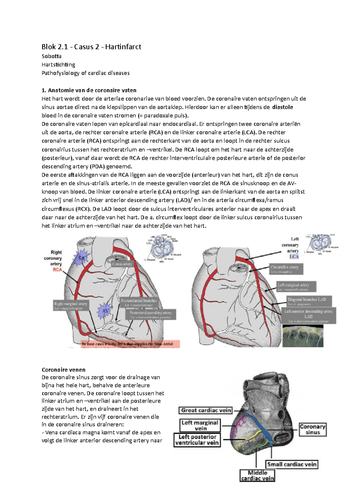 Blok 1 Casus 2 - Hartinfarct - Blok 2 - Casus 2 - Hartinfarct Sobotta ...