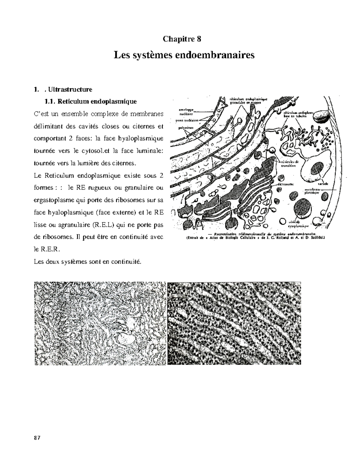 M. Triqui Cours DE Biologie Cellulaire 2019-2020-87-98 - Chapitre 8 Les ...