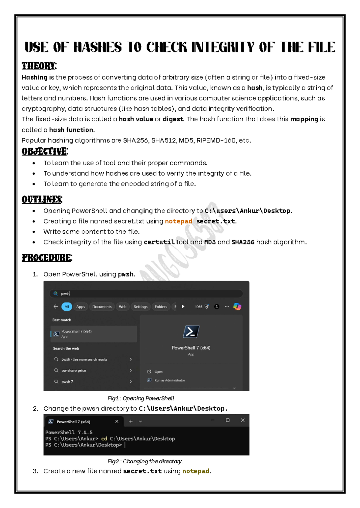 FIS Assignment Sem1 - USE OF HASHES TO CHECK INTEGRITY OF THE FILE ...