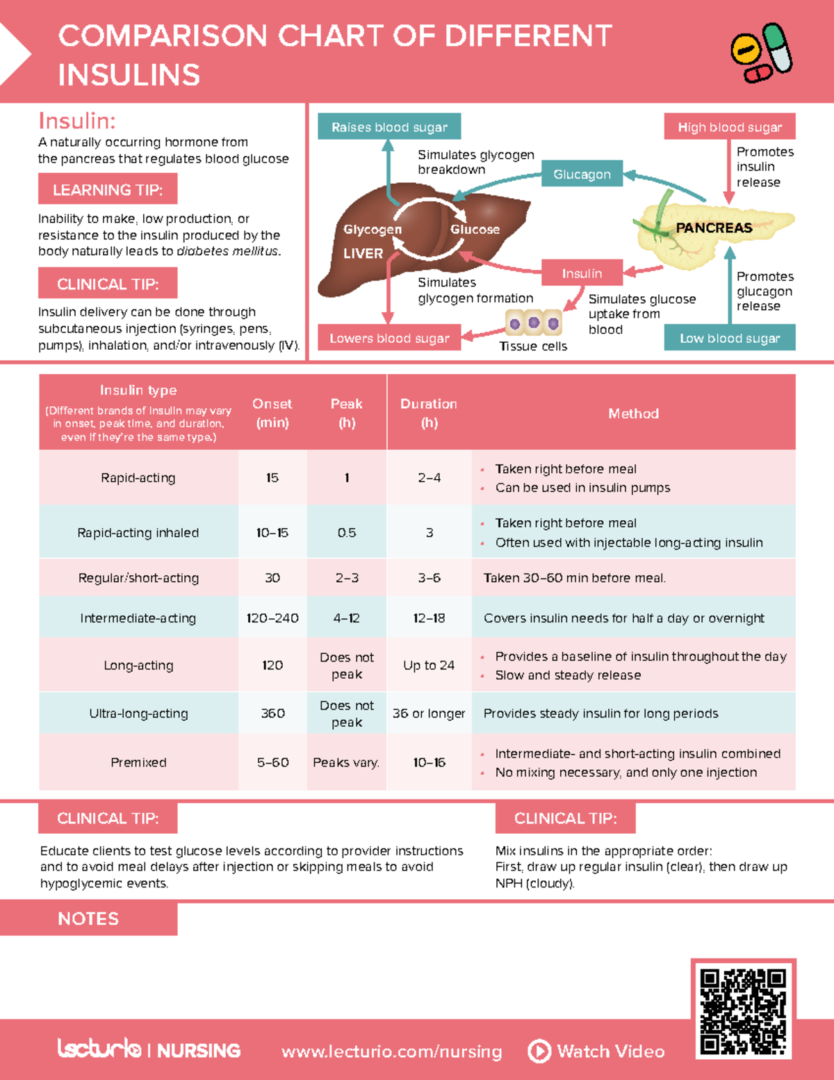 Nursing CS Comparison-Chart-of-Different-Insulins 04 - lecturio/nursing ...