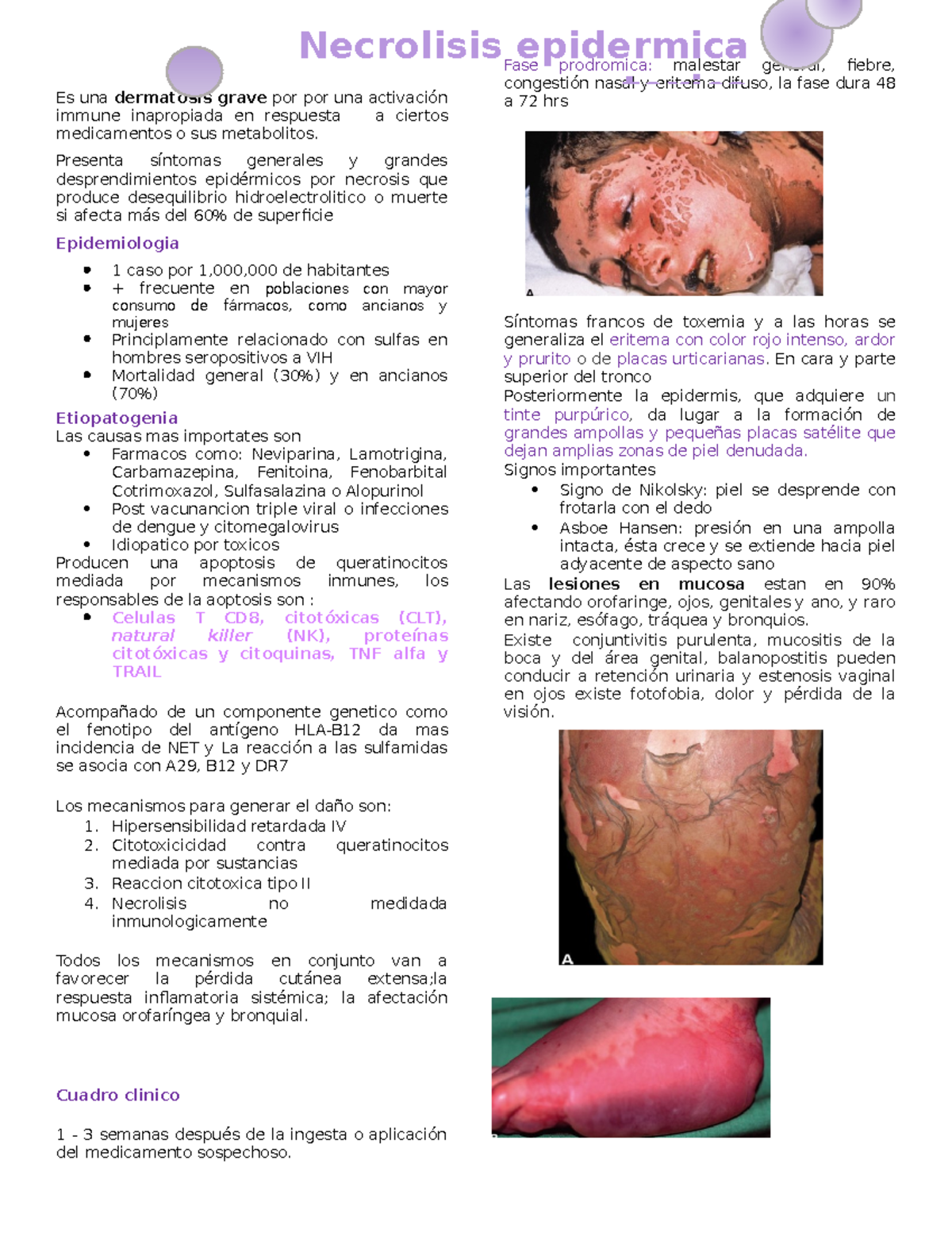Dermatologia - NECROLISIS EPIDERMICA TOXICA Y DERMATITIS ATOPICA - Es ...