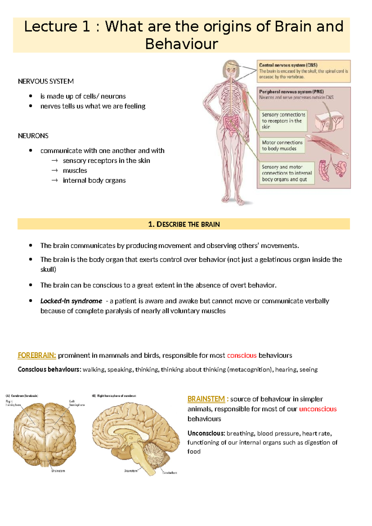 Notes - Lecture 1 : What are the origins of Brain and Behaviour NERVOUS ...
