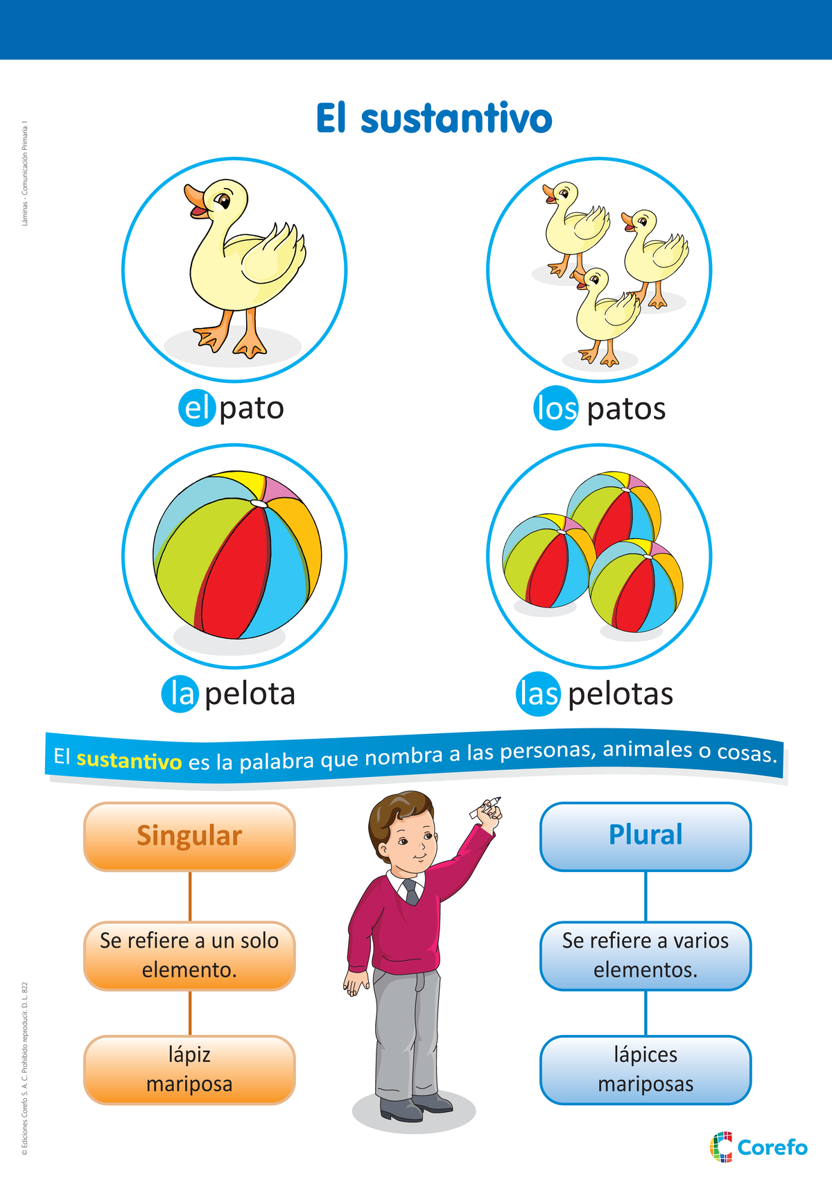 Lámina Singular y plural - Comunicación integral - Singular el pato los patos la pelota las ...