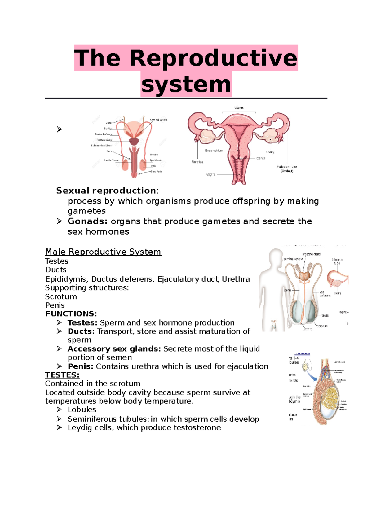 The Reproductive system - The Reproductive system Sexual reproduction ...