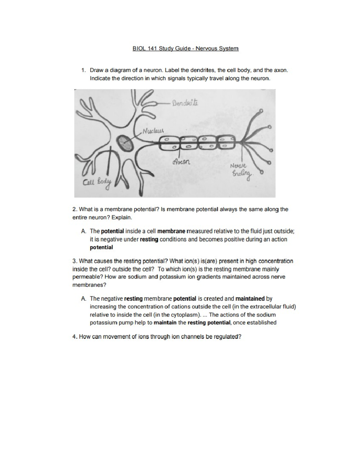 BIOL 141 Study Guide - Nervous System - Draw a diagram of a neuron ...