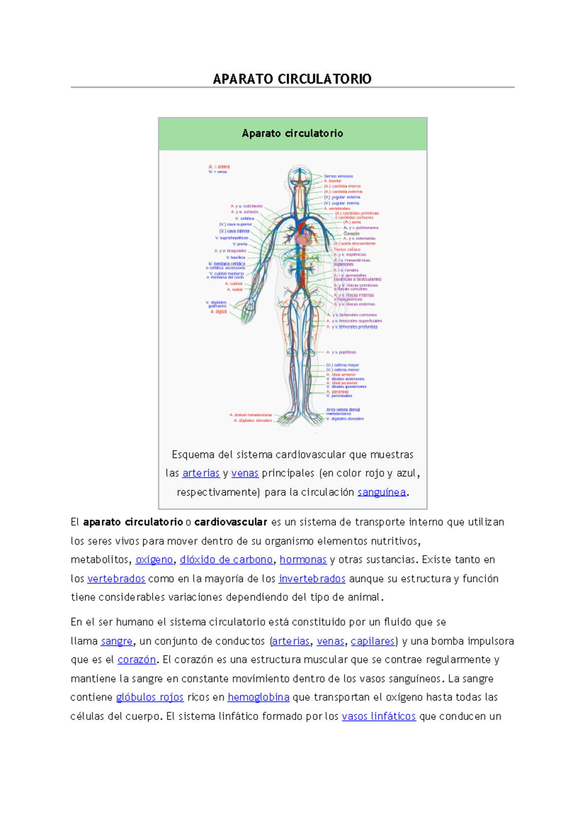 Aparato Circulatorio - APARATO CIRCULATORIO Aparato circulatorio ...