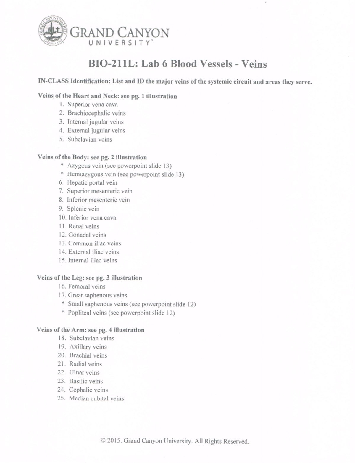 BIO 211 Lab 6 VK Veins - WORKSHEET - BIO-211 - Studocu