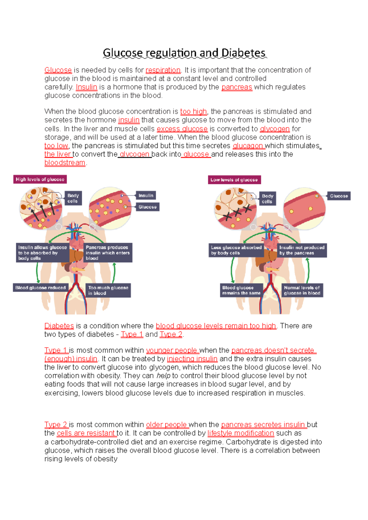 Glucose regulation and Diabetes - Glucose regulation and Diabetes ...