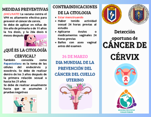 triptico preve cancer de cervix - Es un análisis que mide el nivel de ...