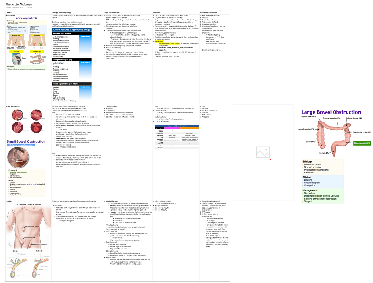 The Acute Abdomen - summary of abdominal conditions - Disease Etiology ...