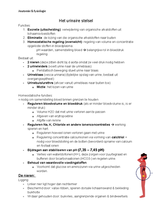 Het maag - darmstelsel - samenvatting maag - darm stelsel - Het maag ...