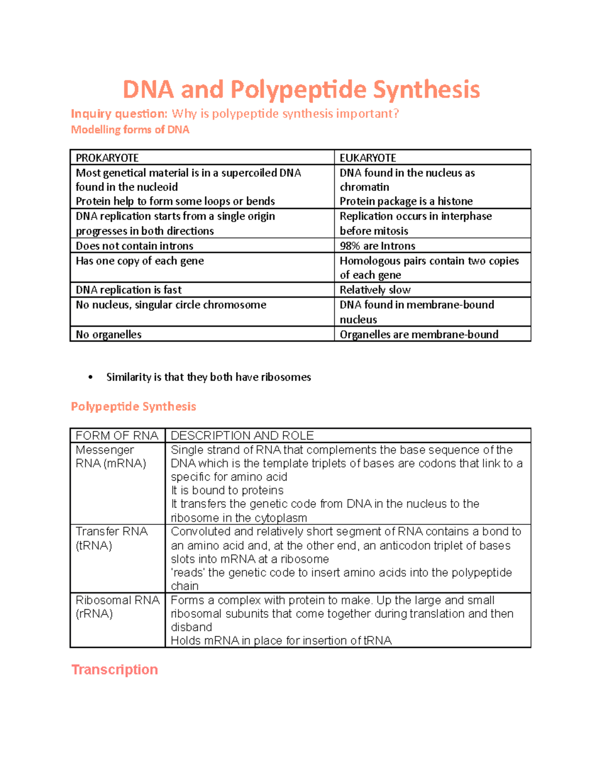 DNA Synthesis Week 8 notes - DNA and Polypeptide Synthesis Inquiry ...