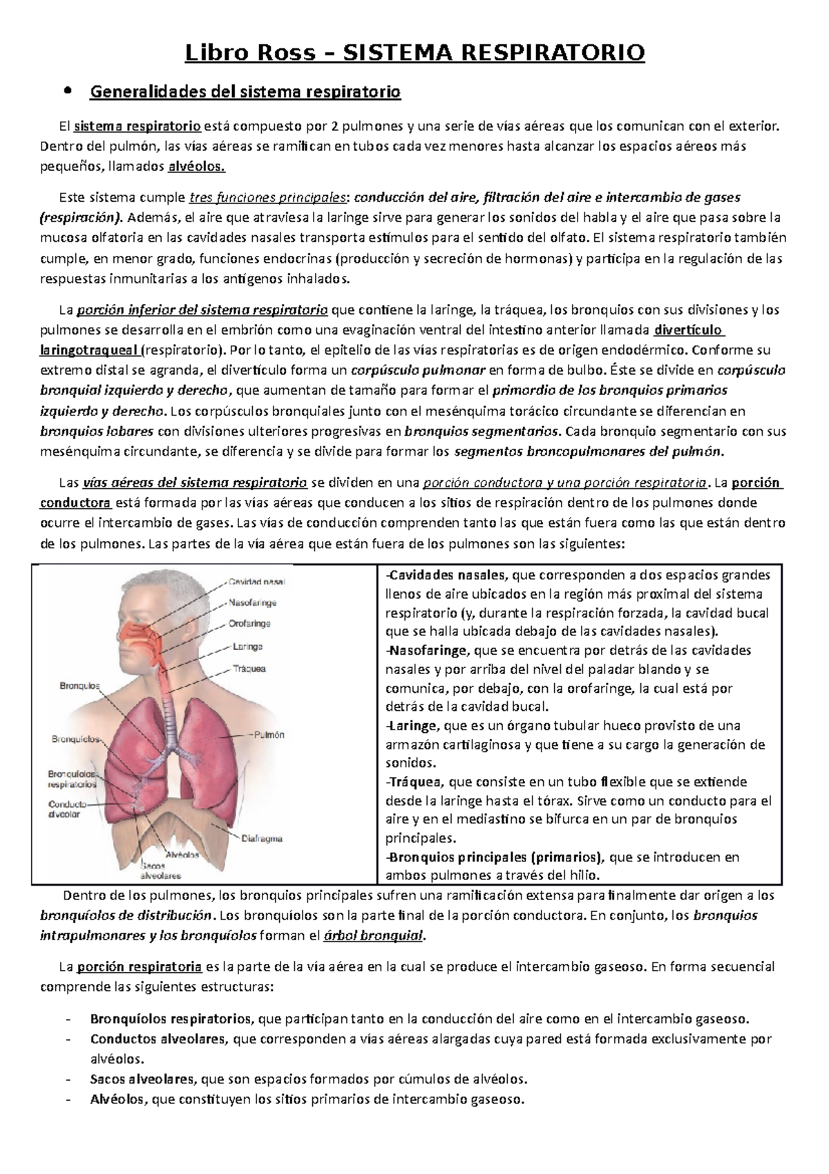 Resumen del libro ROSS para histologia RESPITATORIO . ARTI 3 - Libro ...