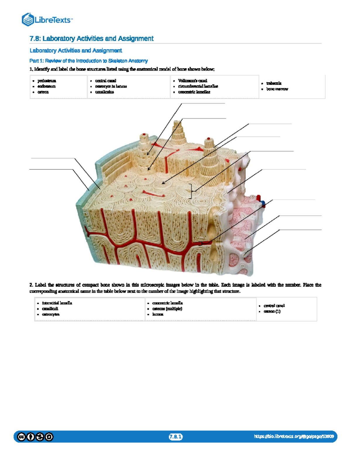 Lab 6-Bone Structure - n/a - LibreTexts 7: Laboratory Activities and ...