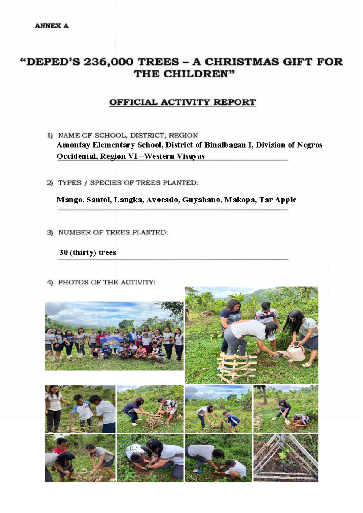 Report-TREE Planting - N/A - Secondary Education - Amontay Elementary ...