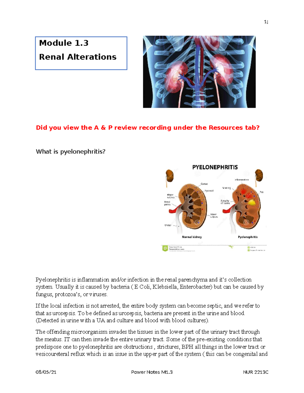 Renal lecture notes (1) (1) power - Did you view the A & P review ...