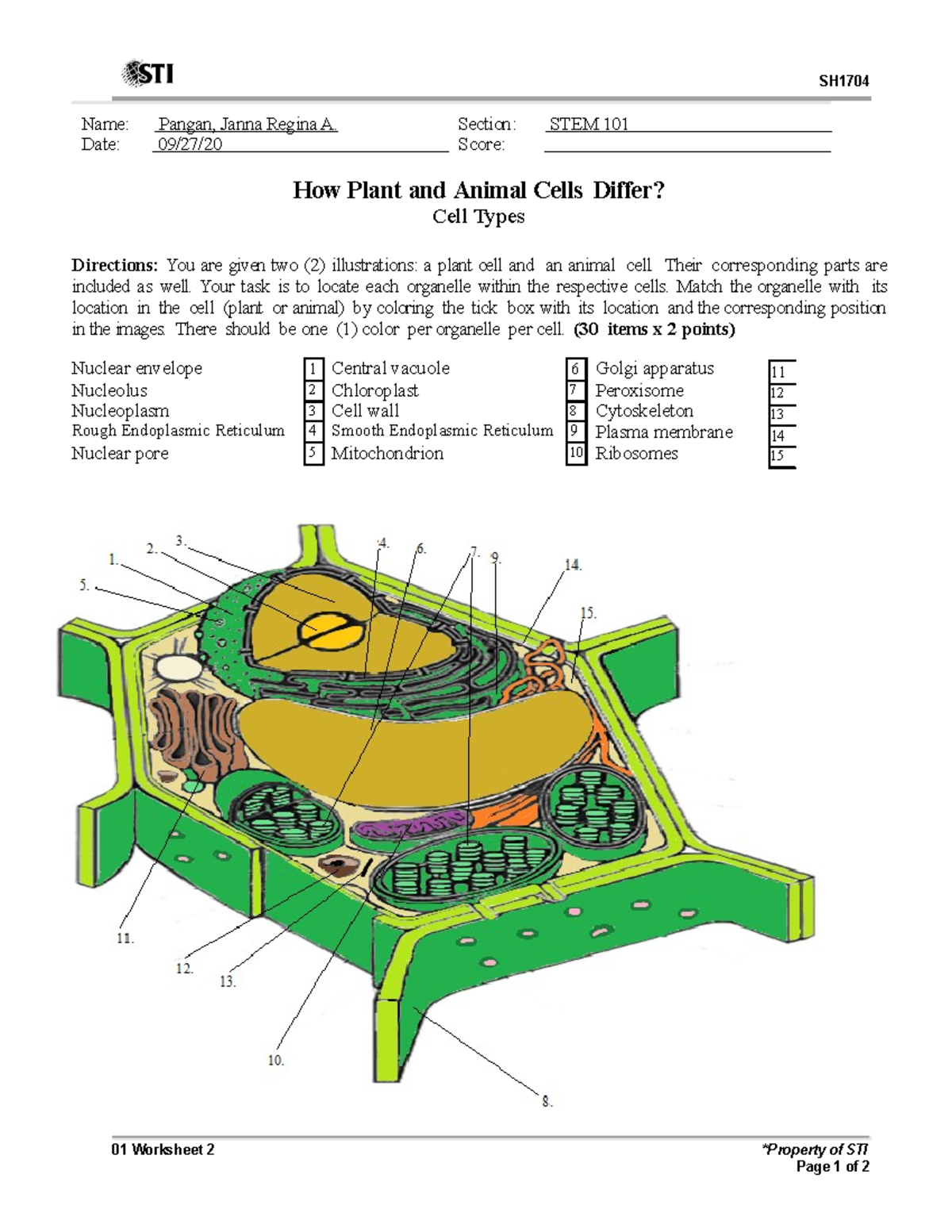 01 Worksheet 2 - gfrddddddddddd - SH 01 Worksheet 2 *Property of STI ...