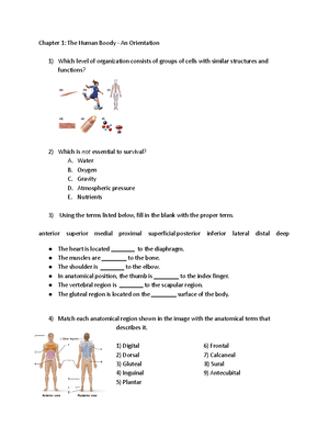 A&P - chapter 1 textbook summary - Chapter 1 - The Human Body: An ...