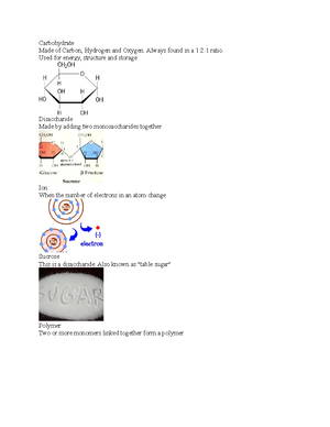 Chapter 6 - Protein Secondary Structure - Protein Secondary Structure ...