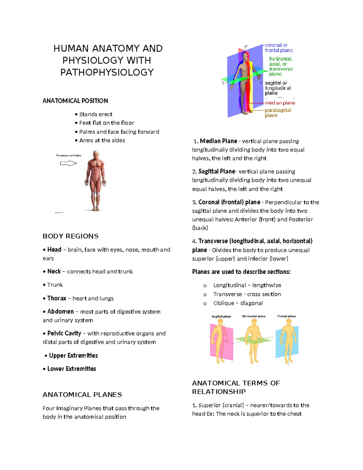 Anaphy Reviewer - HUMAN ANATOMY AND PHYSIOLOGY WITH PATHOPHYSIOLOGY ...