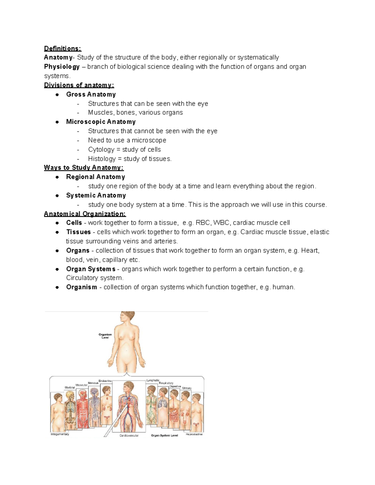 Lecture 1 - introduction to anatomy - Definitions: Anatomy - Study of ...