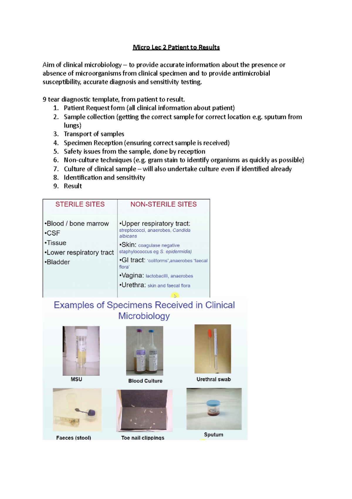 Micro Lec 2 Patient to Results - Micro Lec 2 Patient to Results Aim of ...