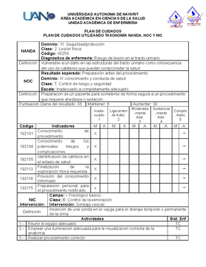 Plan de cuidados perfusion cerebral ineficaz NANDA, NOC, NIC ...