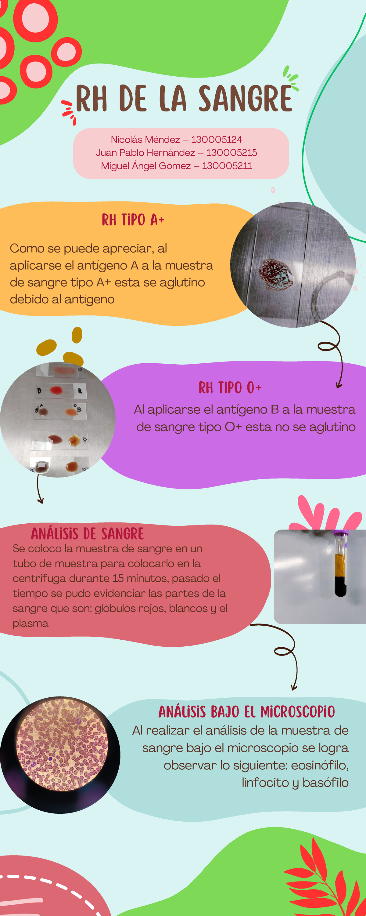 Infografía RH de la Sangre - RH de la sangre Nicolás Méndez – 130005124 ...